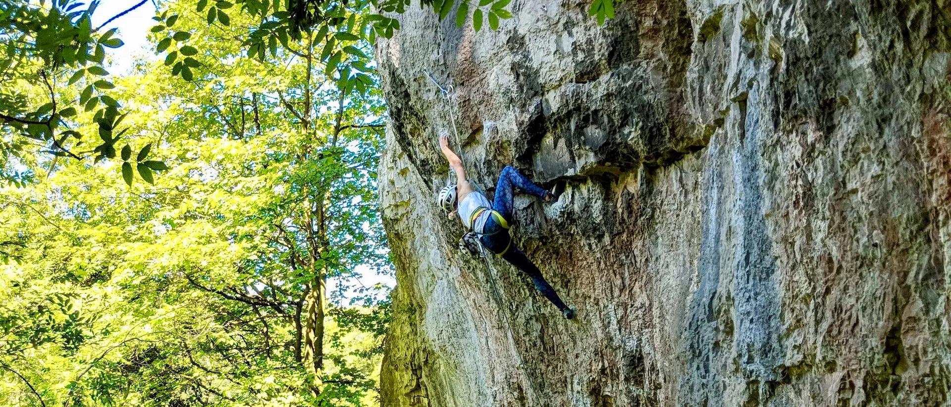 Holly Rees – 3RD ROCK